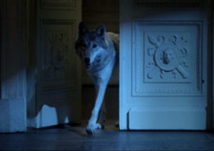 Alumni: Michael Lockshin - Young Director Award